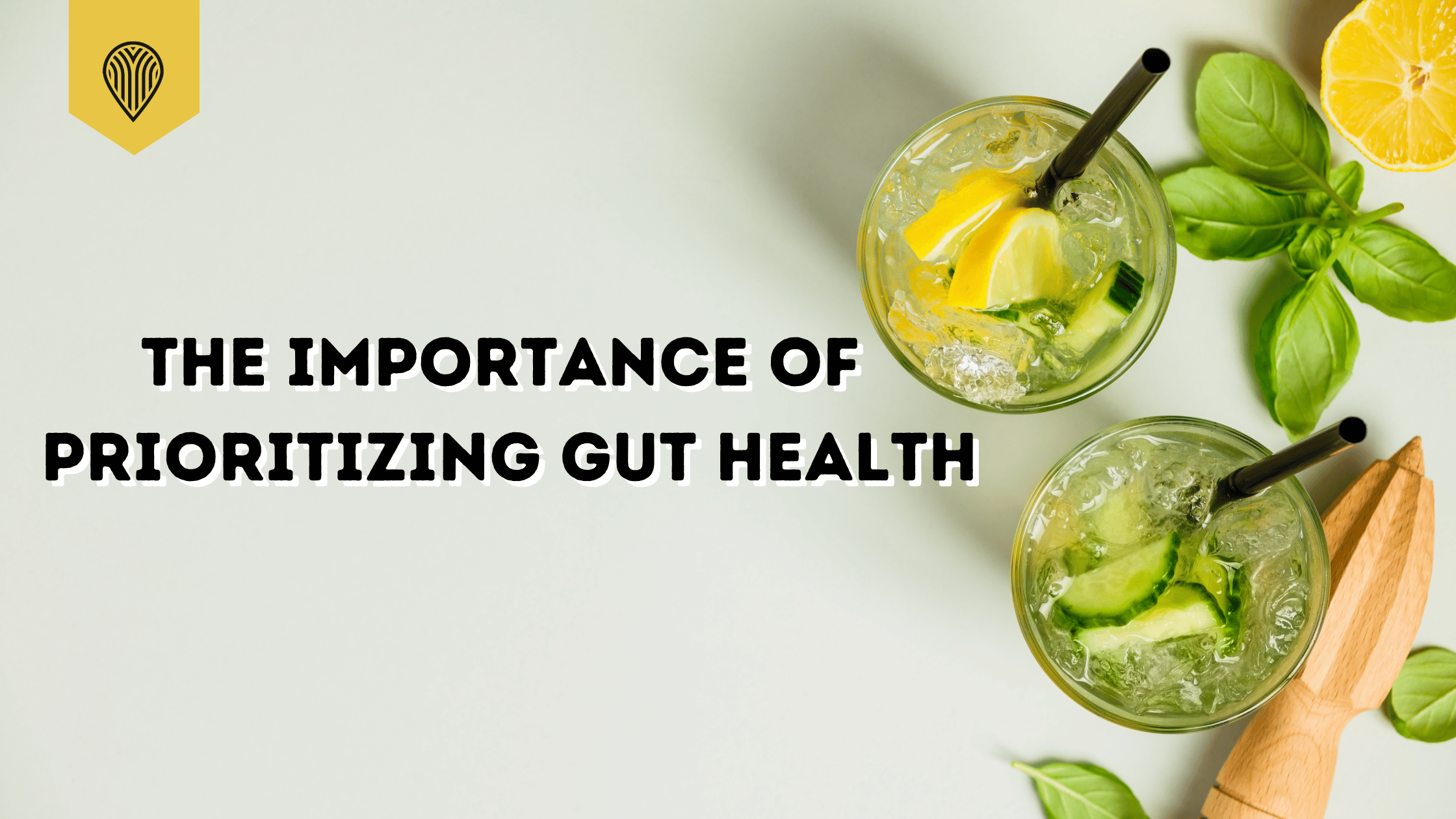 The importance of prioritizing gut health – Protea Nutrition