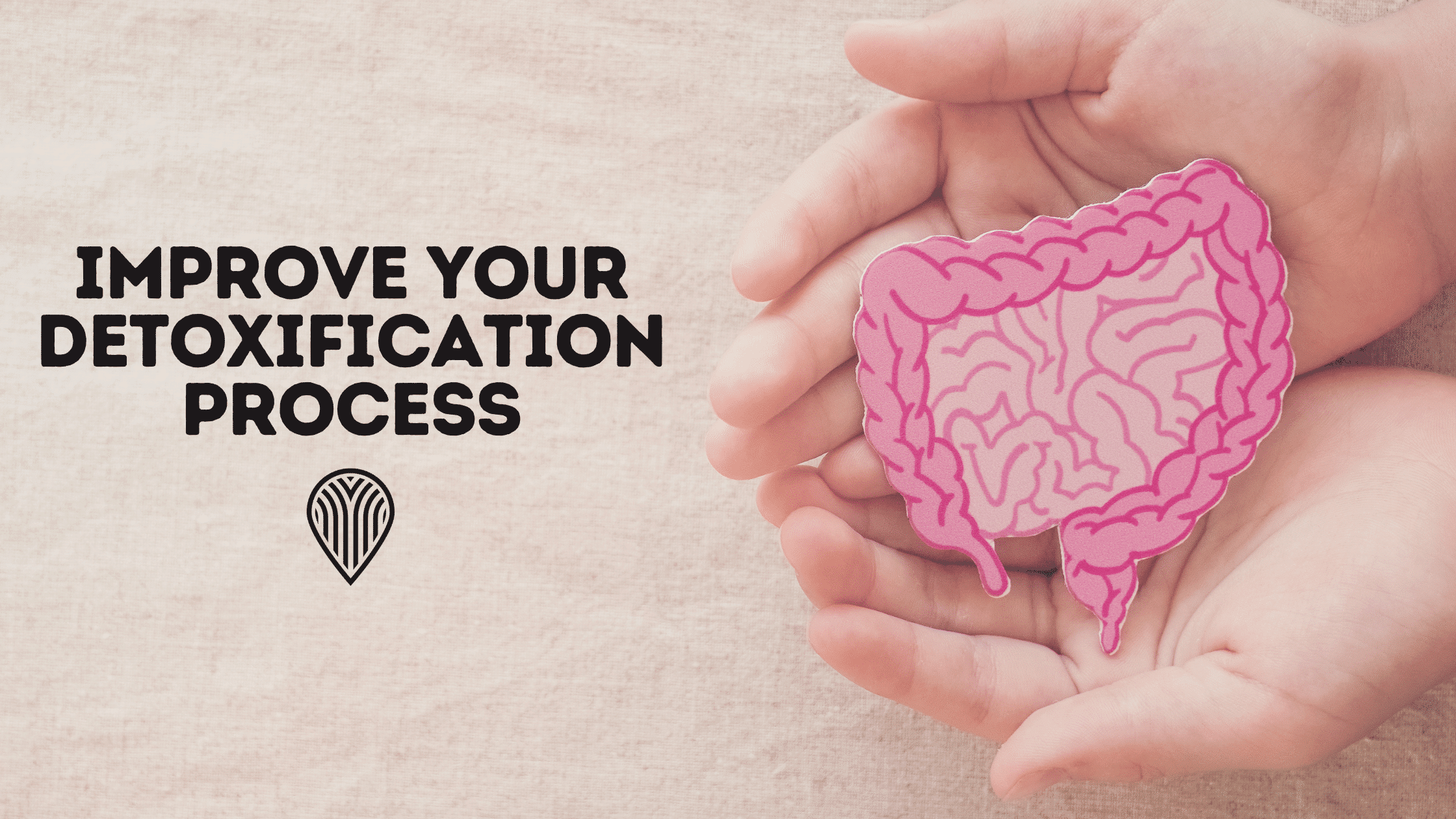 Improve your detoxification process – Protea Nutrition