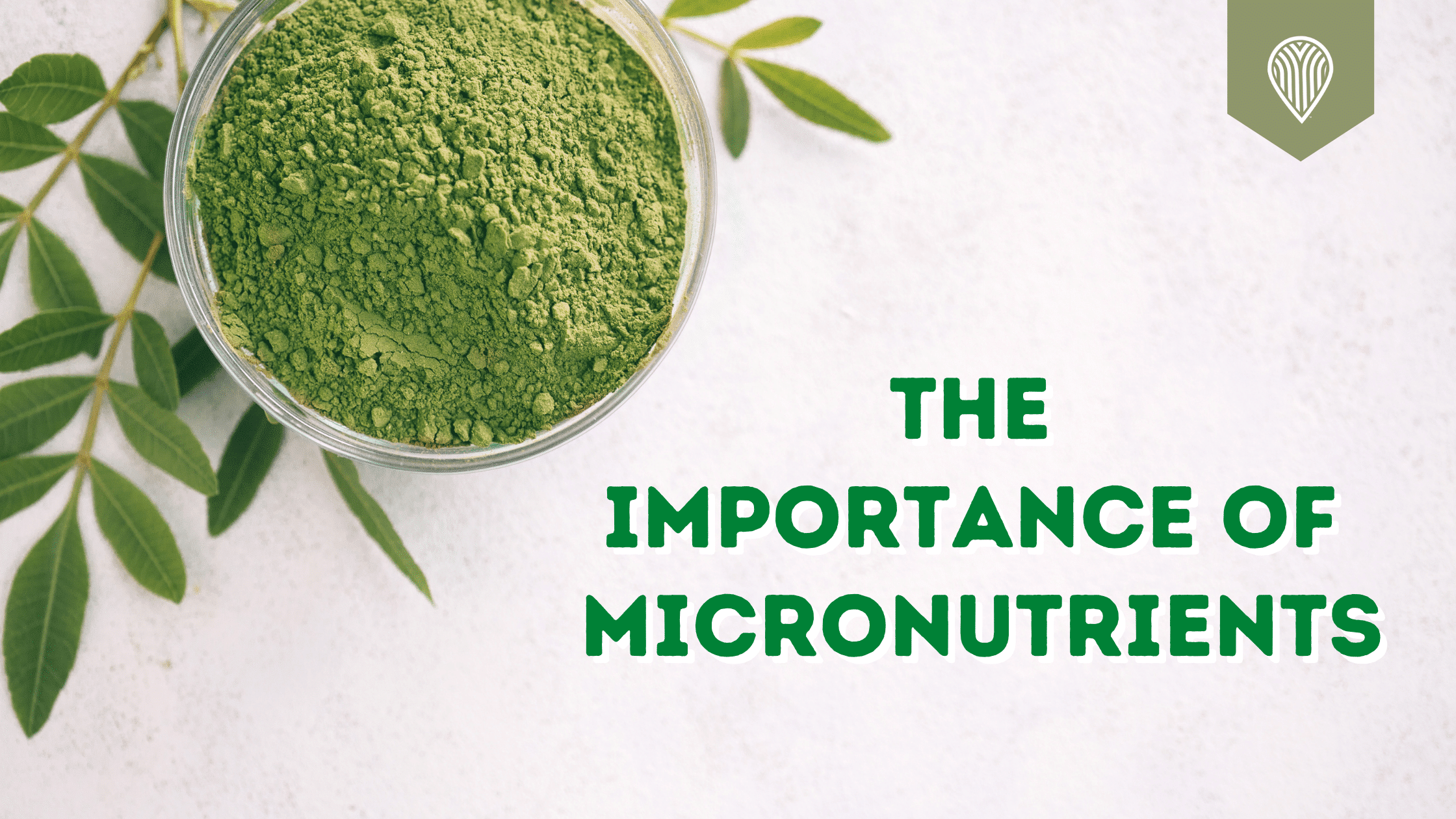 The importance of micronutrients – Protea Nutrition