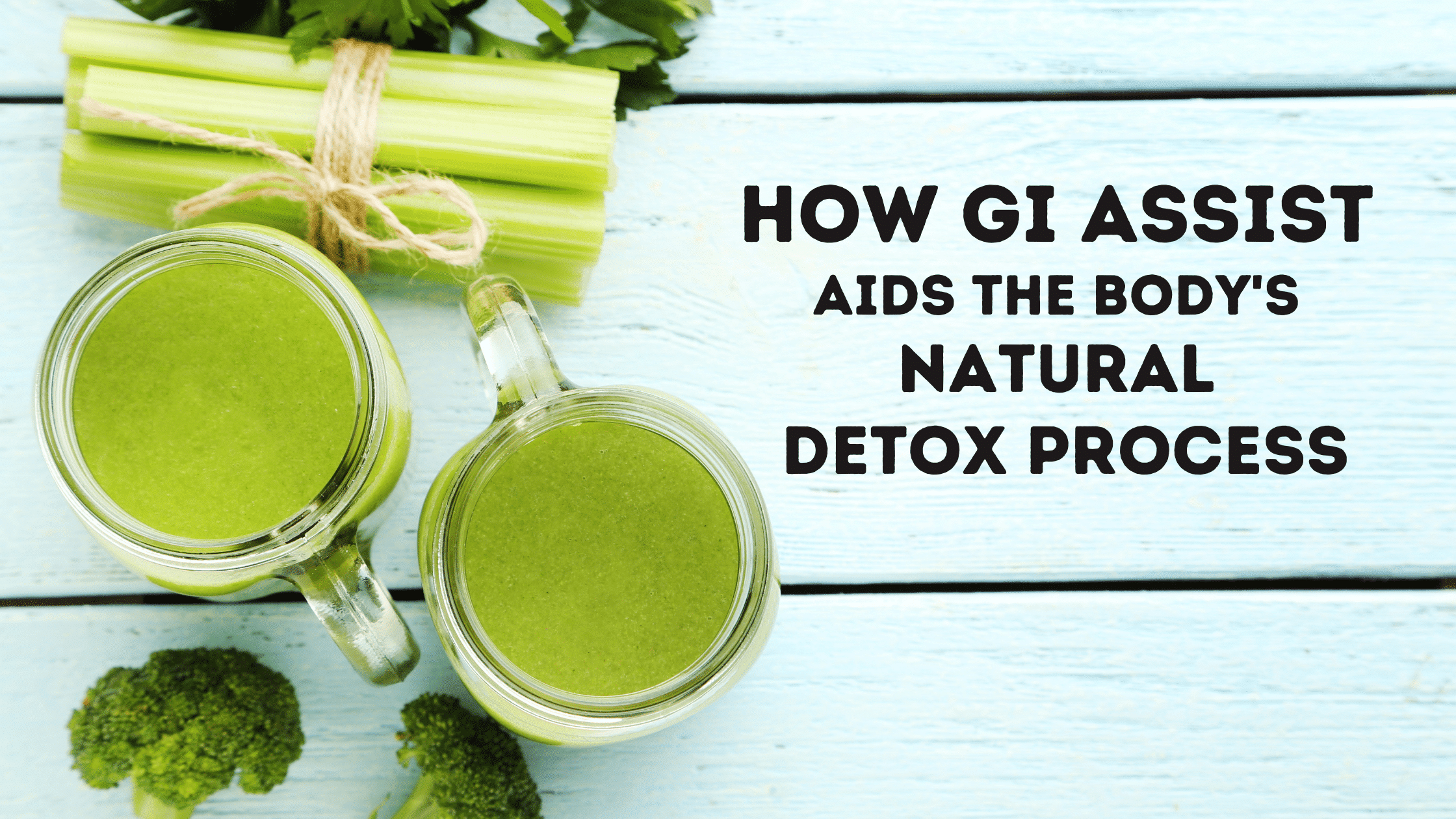 How GI Assist may aid the body's natural detox process – Protea Nutrition